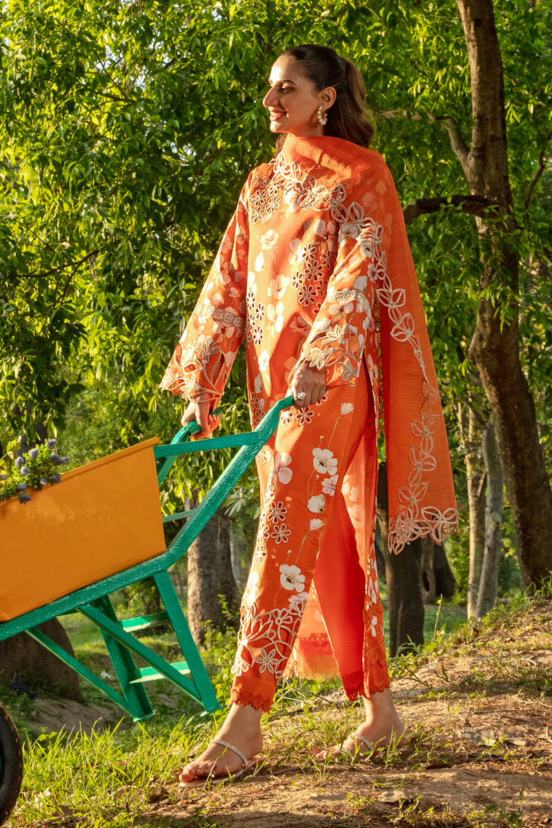 Rang Rasiya Coco Carnation Festive Edition 2024 – Sara Clothes