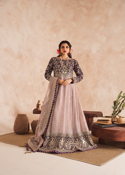 Haseens Official Preet Aangan Collection 2024 – Sara Clothes
