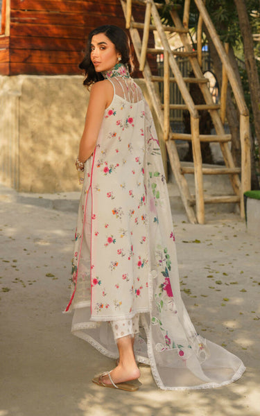 Asifa N Nabeel Aster 7 Meraki Summer Lawn Vol 1 2024 – Sara Clothes