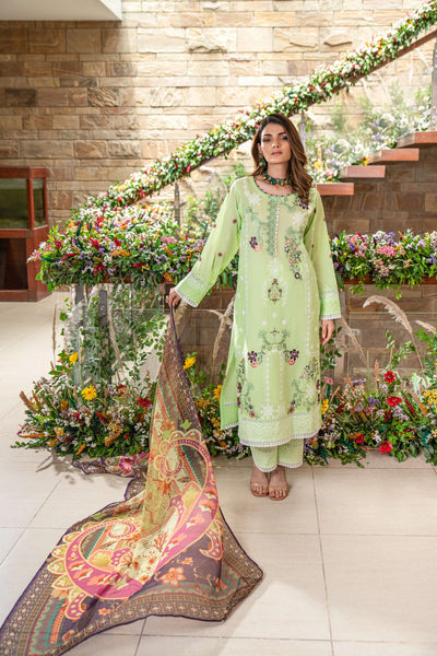 Addee Abha SM-016 Dayaar-e-Khuwaab 2024 – Sara Clothes