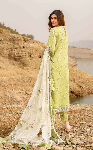 Asifa N Nabeel Lara 7 Meraki Summer Lawn Vol 1 2024 – Sara Clothes