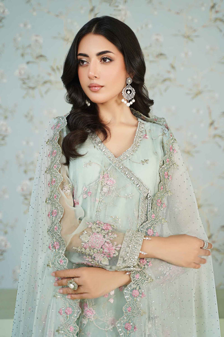 Pakistani Branded Clothes – Sara Clothes
