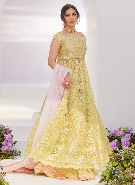 Farah Talib Aziz Reine Kiwi Embroidered Embellished Kalidaar Zara Luxe ...