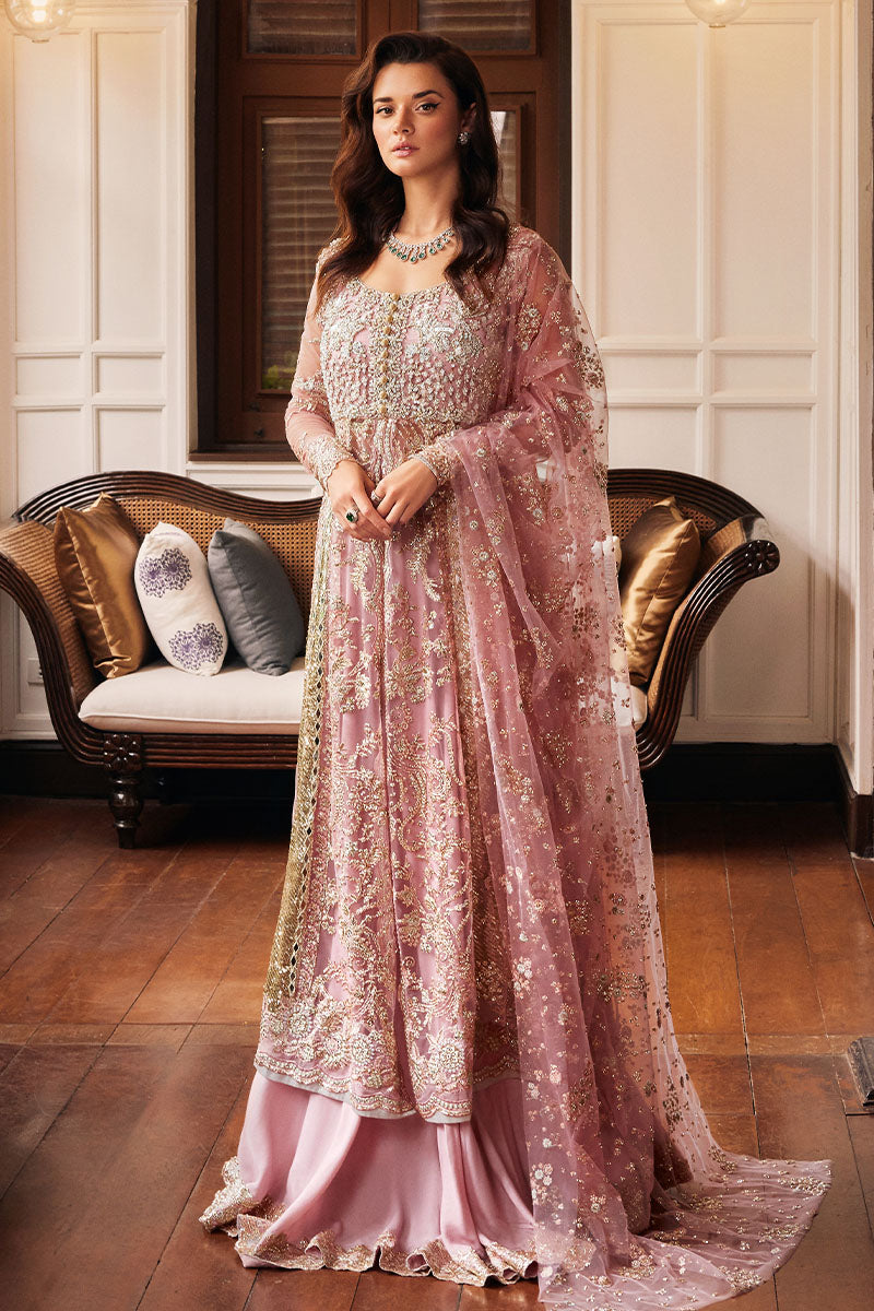 Mushq Luster Stardust Wedding Festive Collection – Sara Clothes