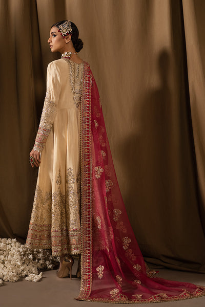 Afrozeh Raqs Divani Wedding Collection – Sara Clothes